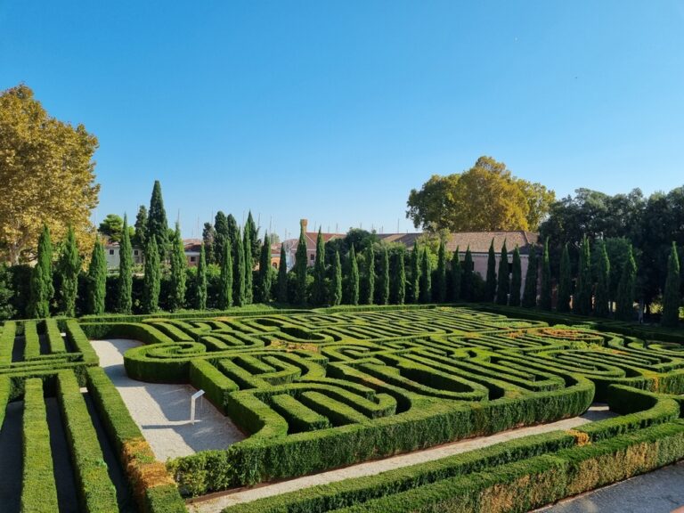 25 Fun Things to Do with Kids in Venice [with Tickets] 2025